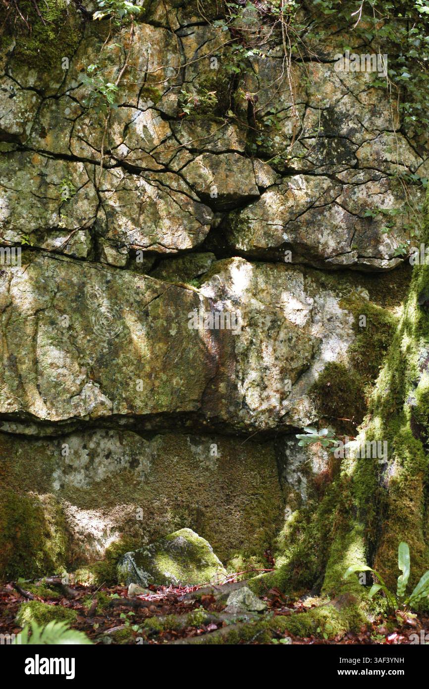 Jul 15, 2005; Quin, County Clare, IRELAND; The restorations and ...