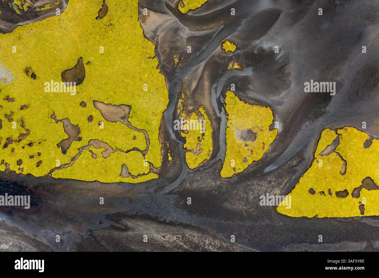 Drone shot yellow moss hi-res stock photography and images - Alamy