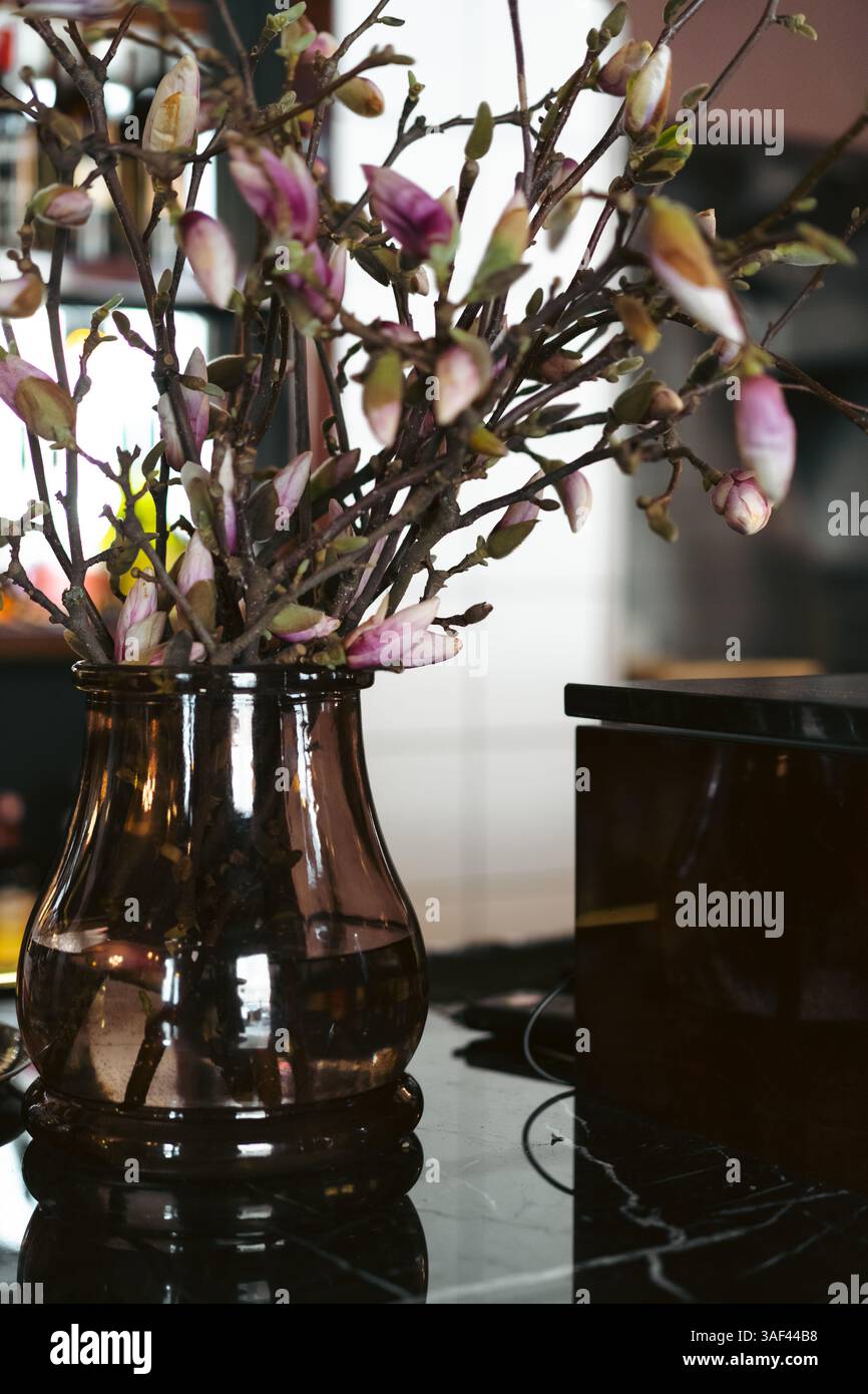 Magnolia flowers in a vase Stock Photo - Alamy