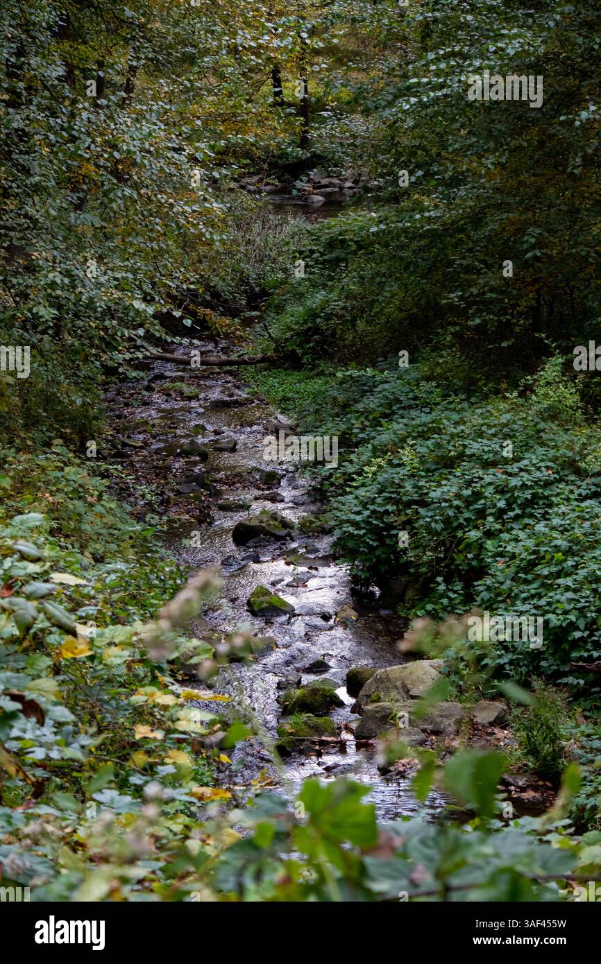 Water flows through mossy rocks hi-res stock photography and images - Alamy
