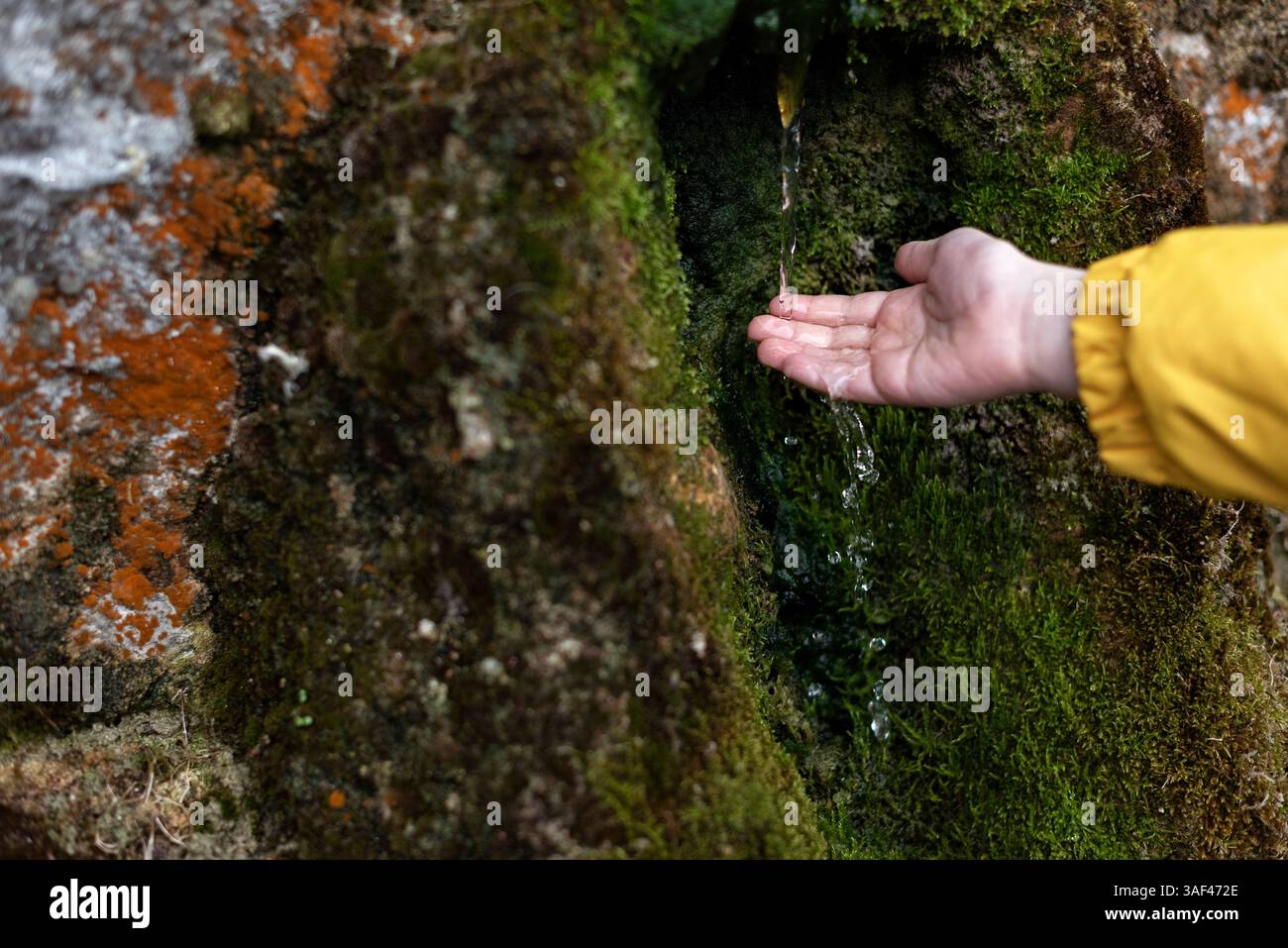 Boy's hand catching water from the creek Stock Photo - Alamy