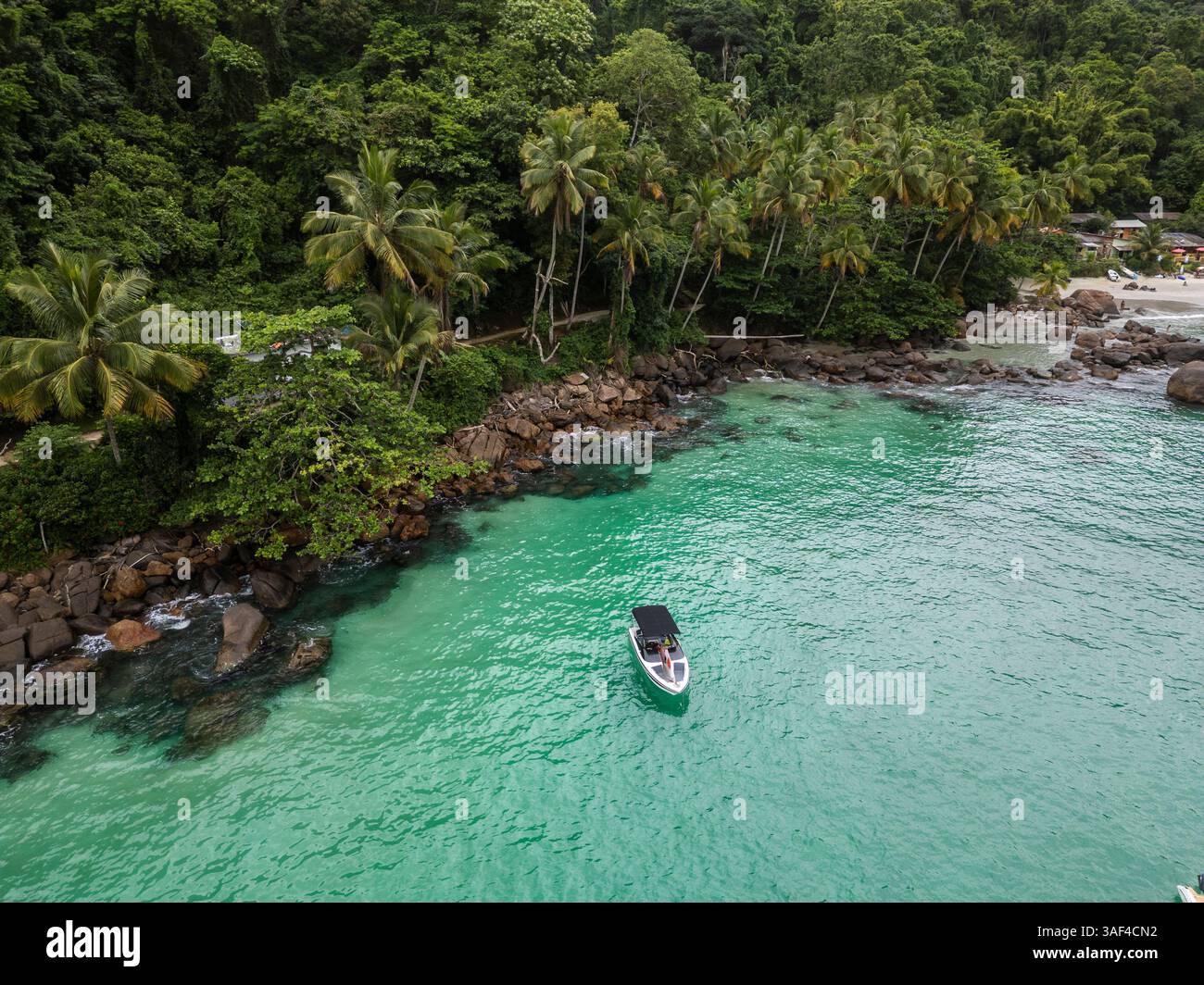 Beautiful aerial view to coconut palm trees, green rainforest Stock ...
