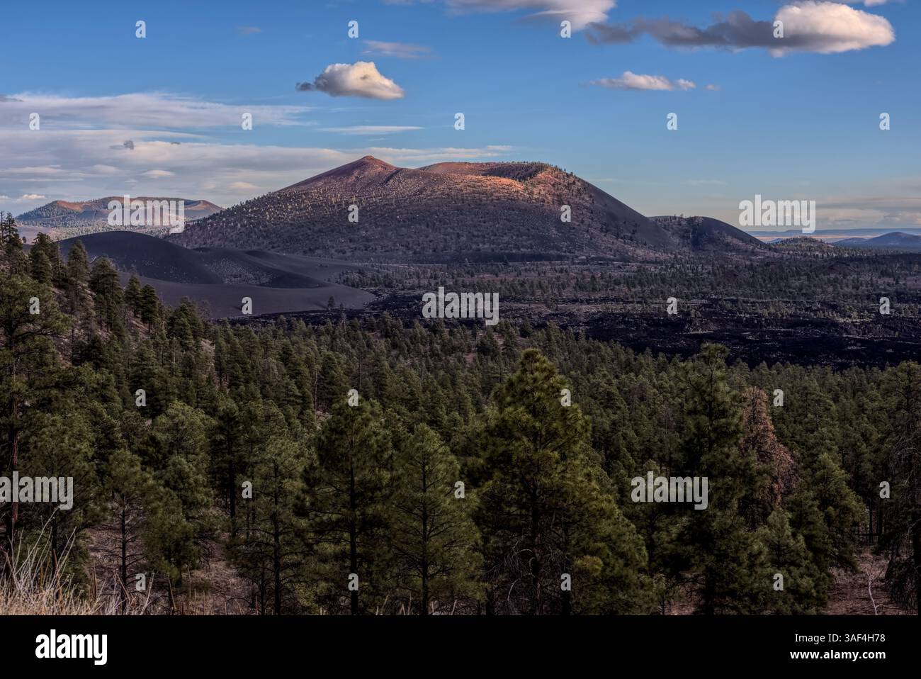 View of Sunset Crater volcano from the forested slope of O'Leary Peak ...