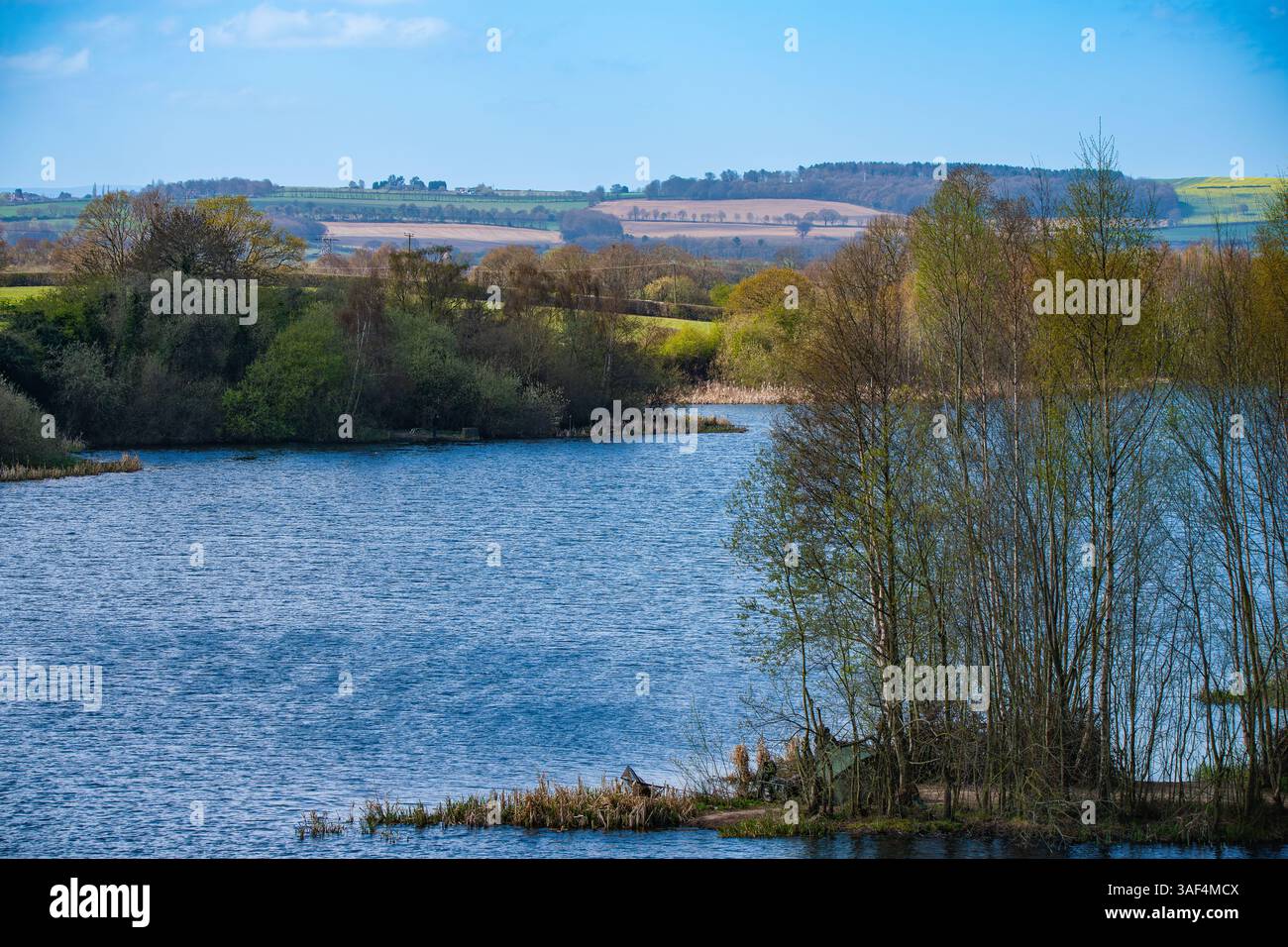 Haw Park Wood, Wakefield, West Yorkshire, April 2025 Stock Photo - Alamy