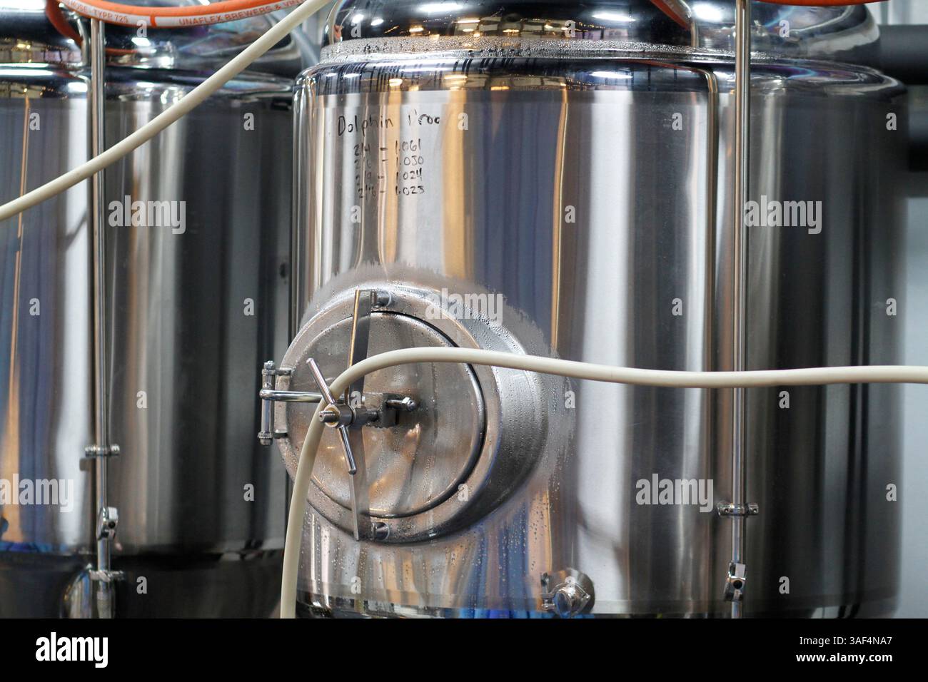 March 1, 2015 - Madeira Beach, Florida, U.S. - A tank of Dolphin Drool ...