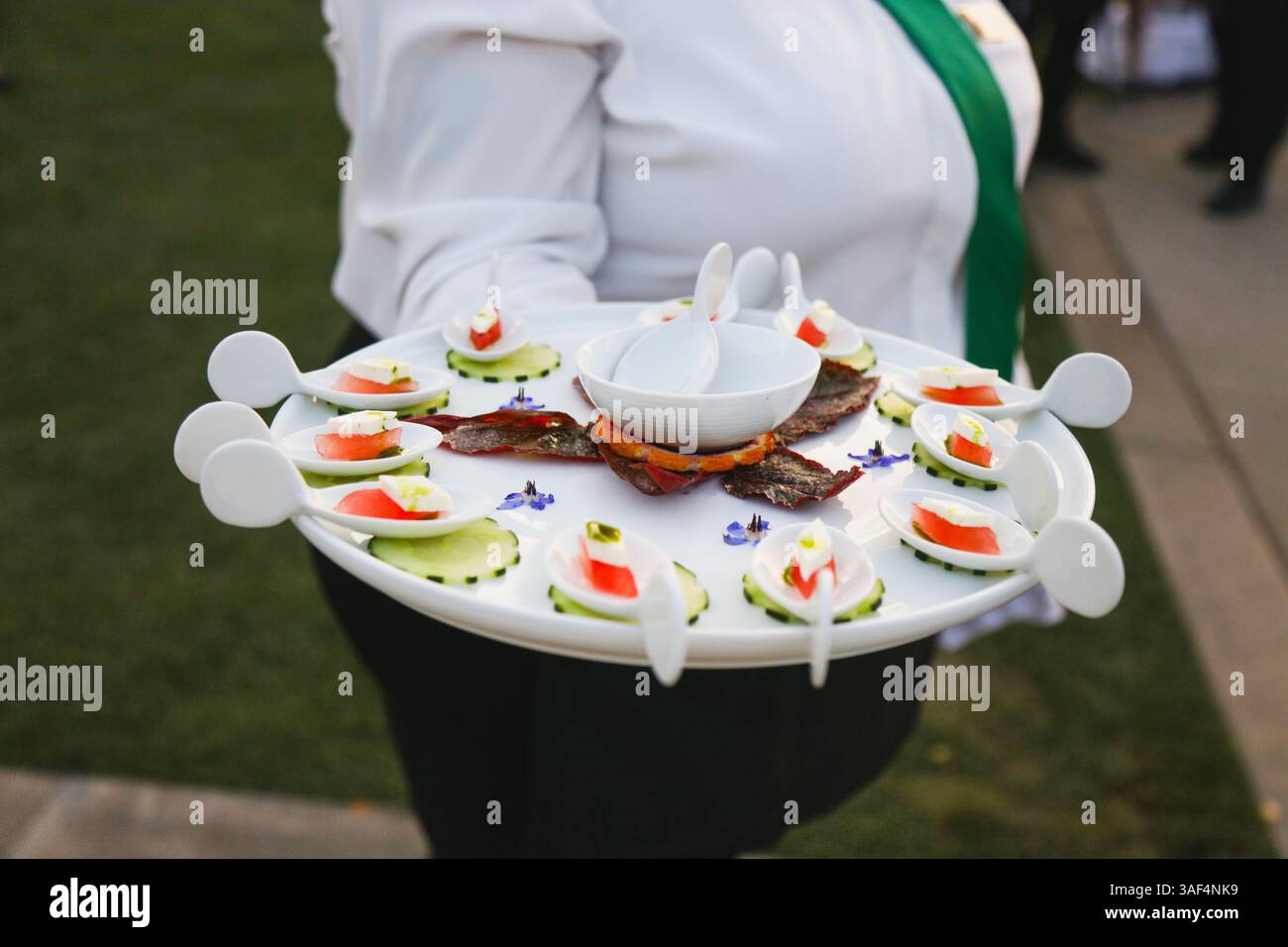 Hors d'oeuvre waiter hi-res stock photography and images - Alamy