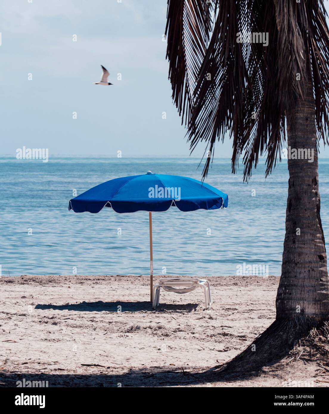 Relax on beach umbrella hi-res stock photography and images - Alamy