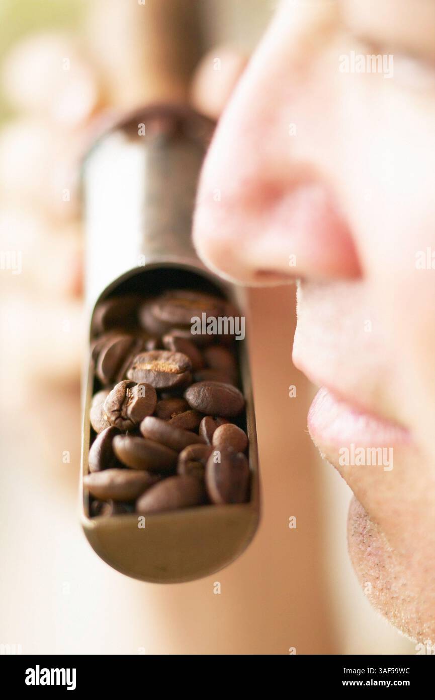 Feb 14, 2005; Kona, HI, USA; All phases of Coffee Production on the ...