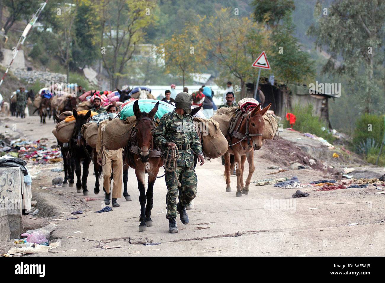 Mule cut out hi-res stock photography and images - Alamy