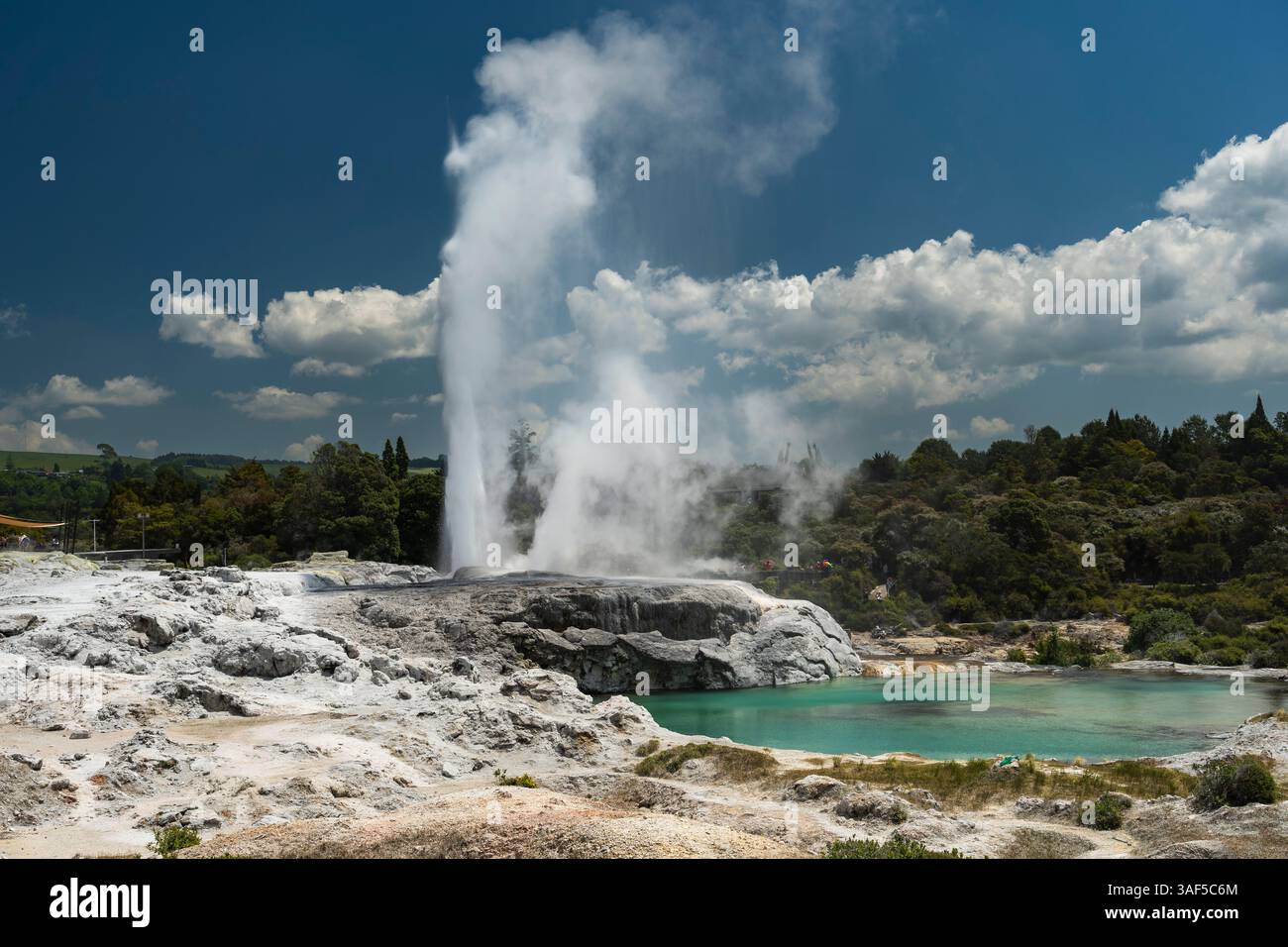 Majestic Geyser Eruptions in Rotorua New Zealand Stock Photo - Alamy