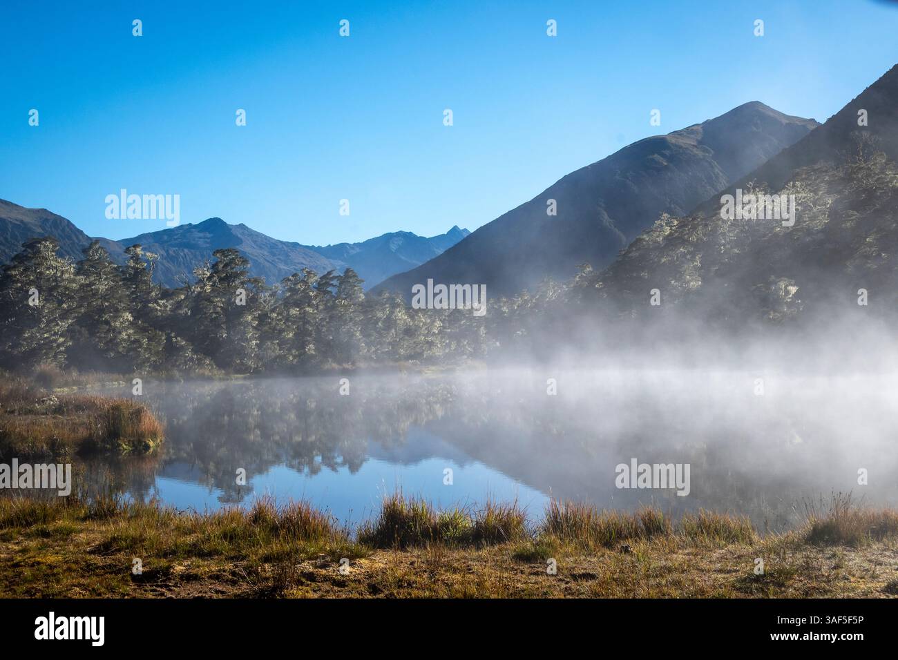 Alpine tarn, Lewis Pass, Canterbury, South Island, New Zealand Stock ...
