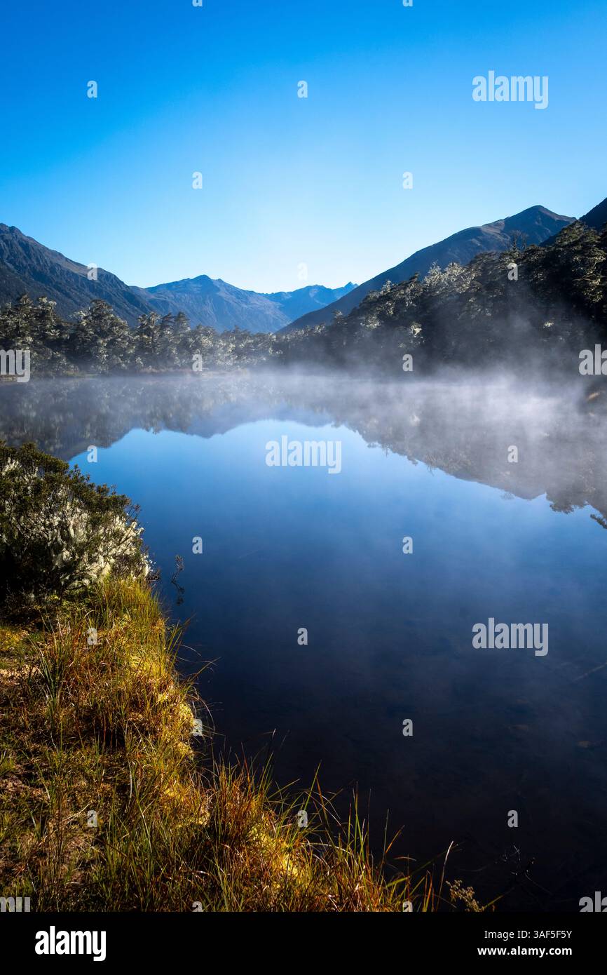 Alpine tarn, Lewis Pass, Canterbury, South Island, New Zealand Stock ...