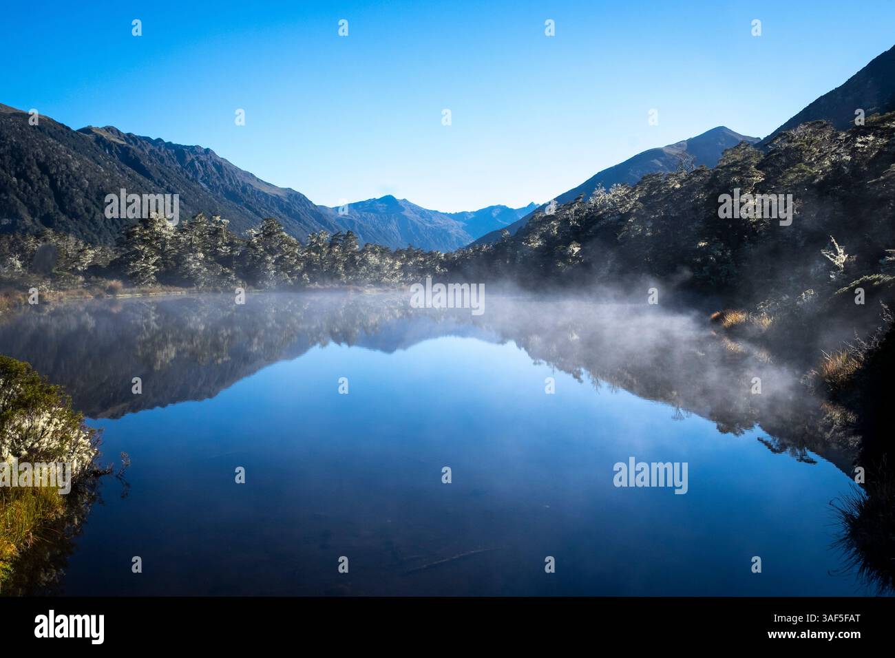 Alpine tarn, Lewis Pass, Canterbury, South Island, New Zealand Stock ...