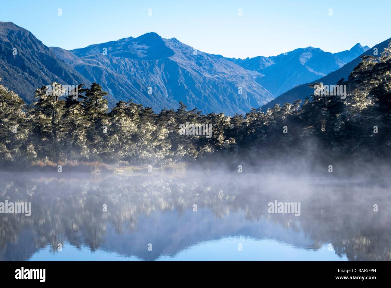 Alpine tarn, Lewis Pass, Canterbury, South Island, New Zealand Stock ...