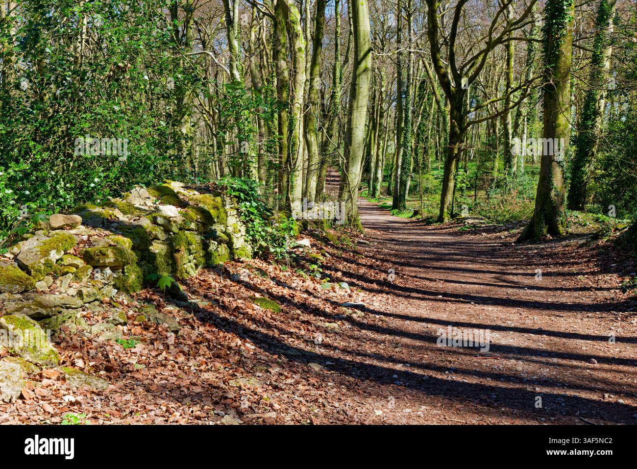 Old crumbling dry stone wall on the side of the Cotswold Way through ...