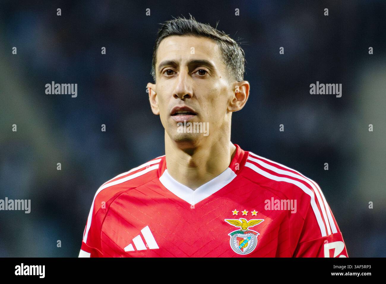 Angel Di Maria of Benfica during the Portuguese championship, Liga ...