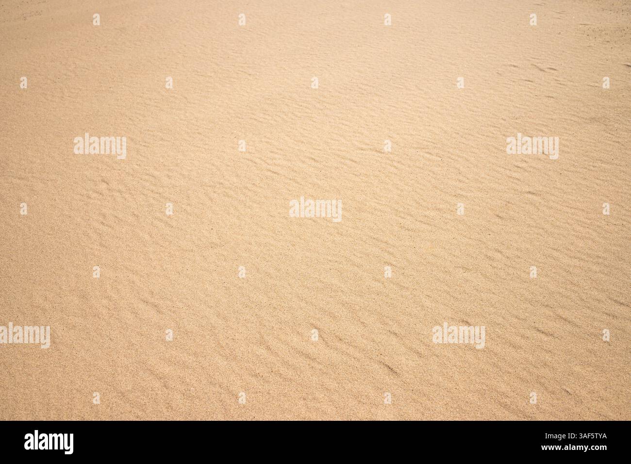 Fine beach sand smooth texture in summer sun close up photo. Nice beige ...