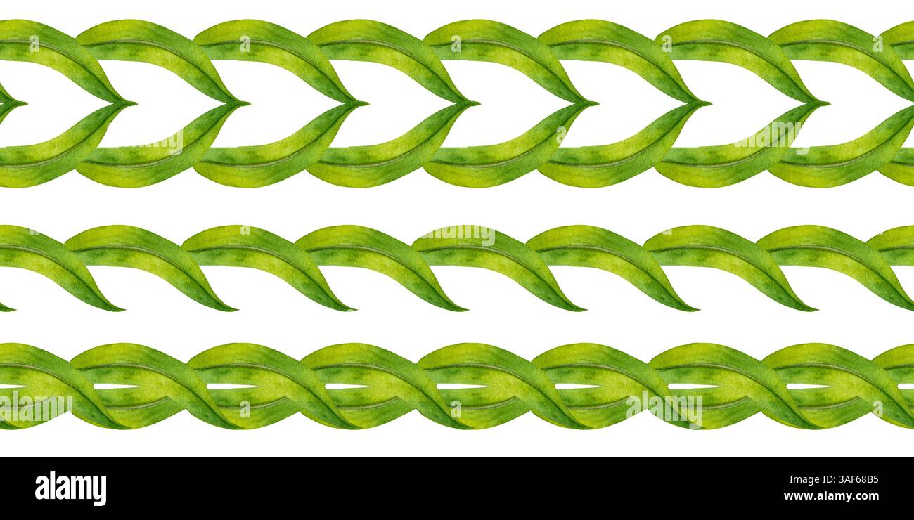 Green, symmetrical, twisted vines, leaves in vignette. Seamless border ...