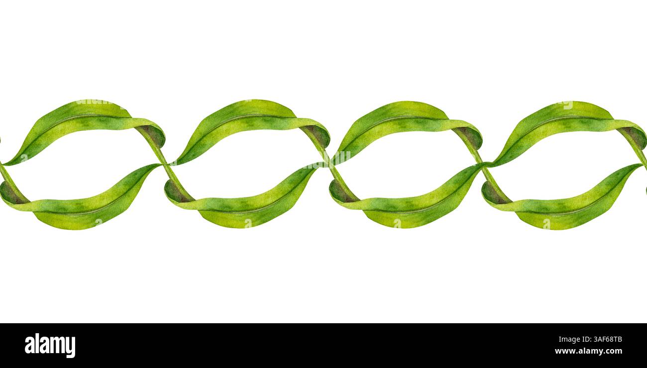 Green, symmetrical, twisted vines, leaves in vignette. Seamless border ...