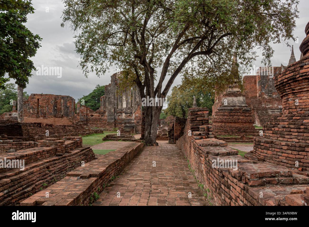 Red brick and stone temple ruin building complex structure in Angkor ...