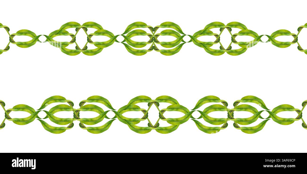 Green, symmetrical, twisted vines, leaves in vignette. Seamless border ...