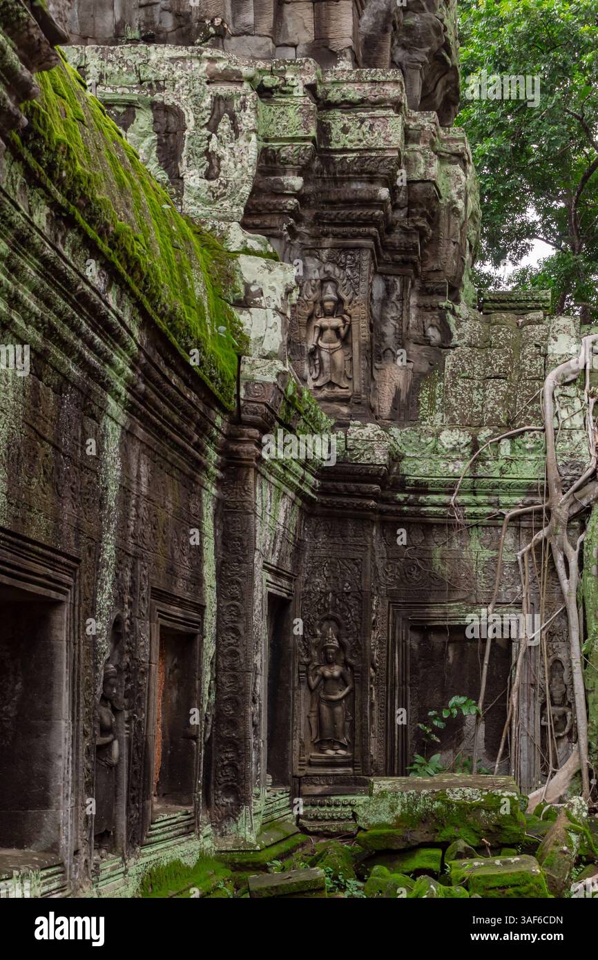 Green moss-covered stone building and bricks and tree roots at Ta Prohm ...