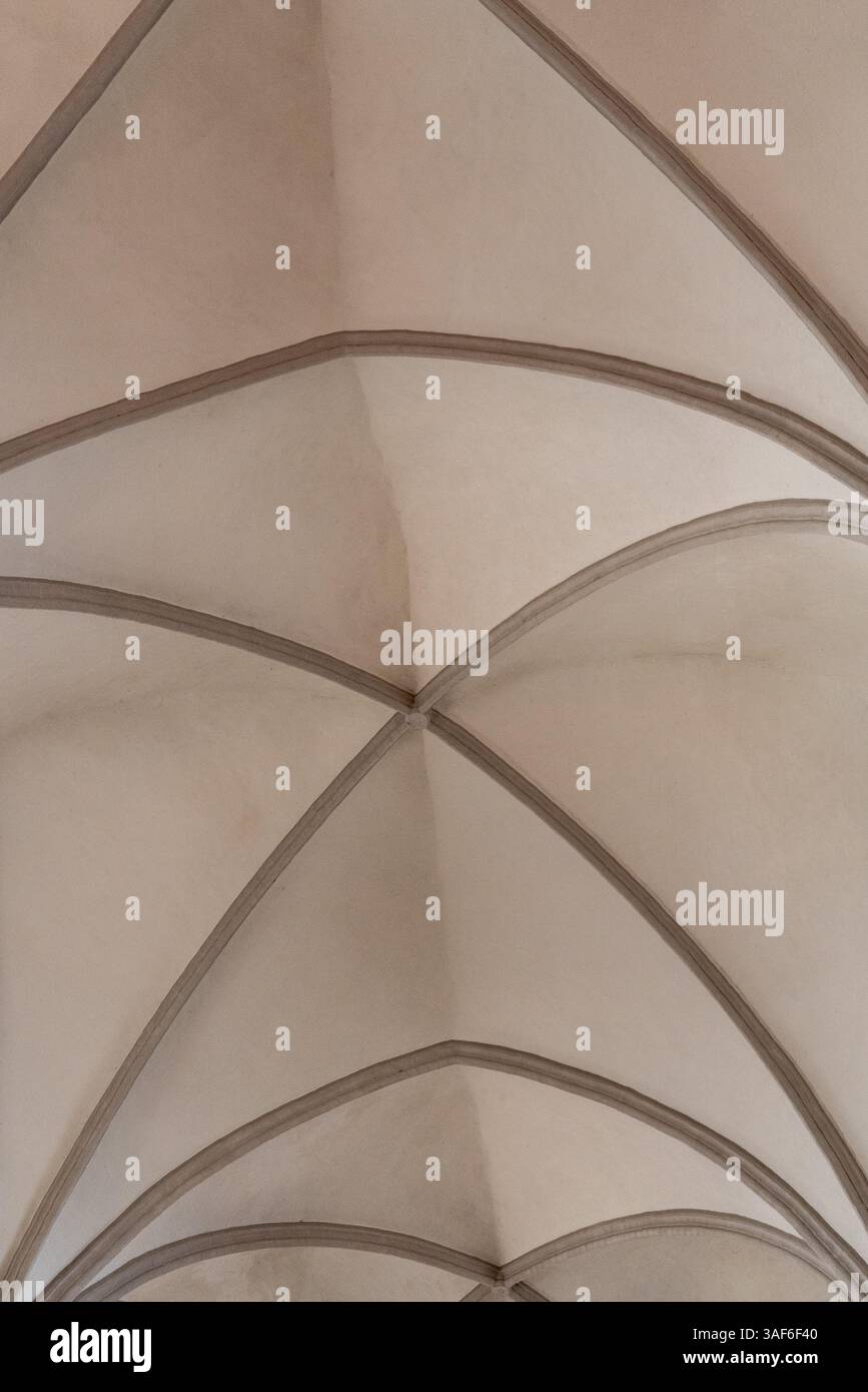 A detailed close up view of the ceiling of a building featuring arches ...