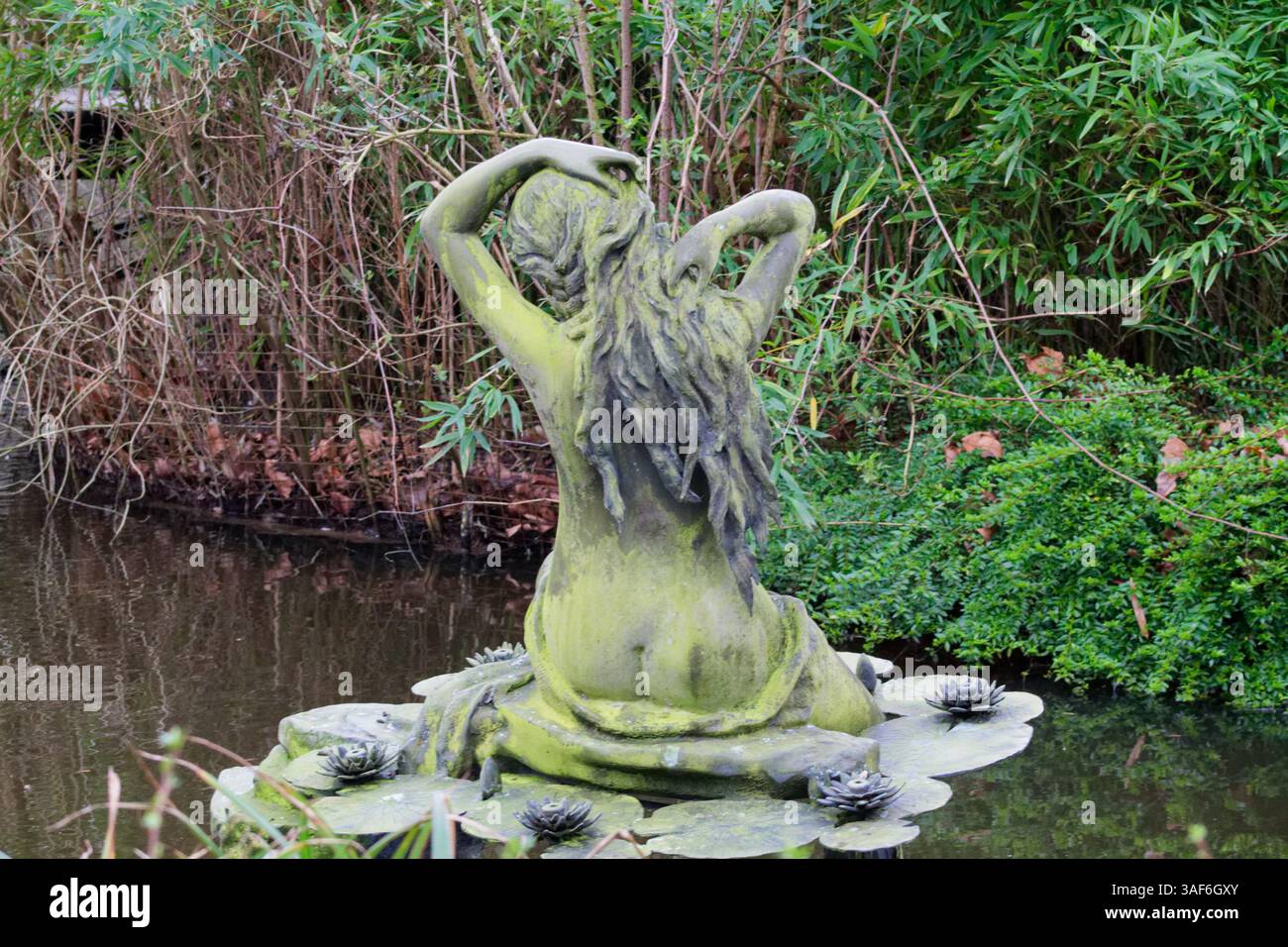A moss-covered statue of a mermaid sitting on a lily pad in a pond ...