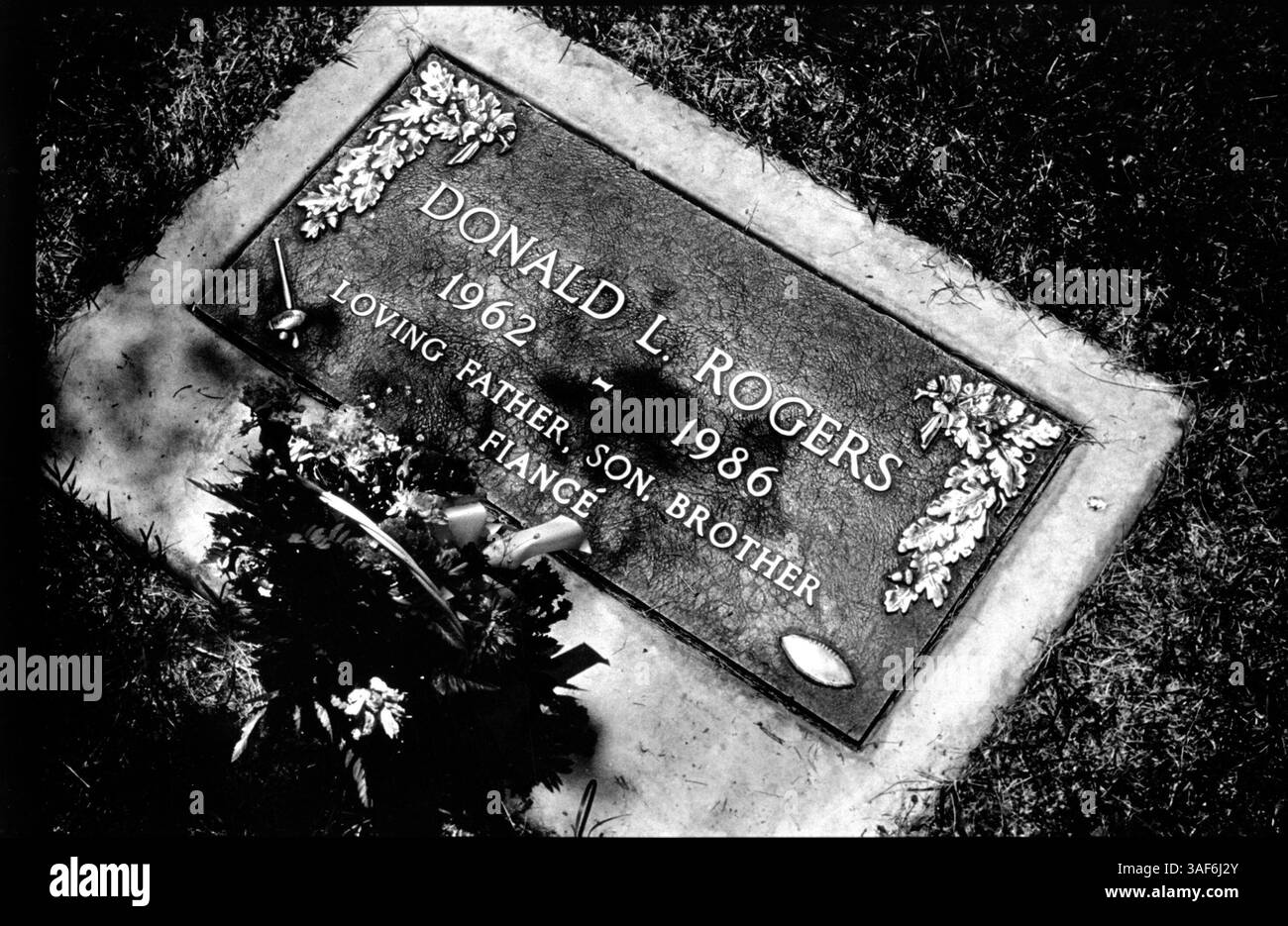 Sunset bee Black and White Stock Photos & Images - Alamy