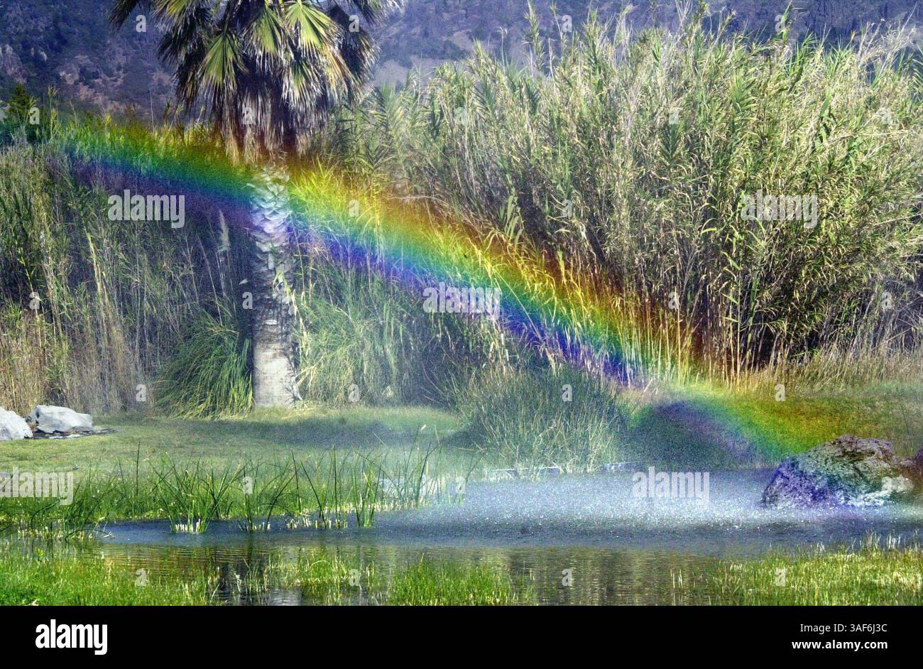 California's ''Old Faithful Geyser'' is located on private property at ...