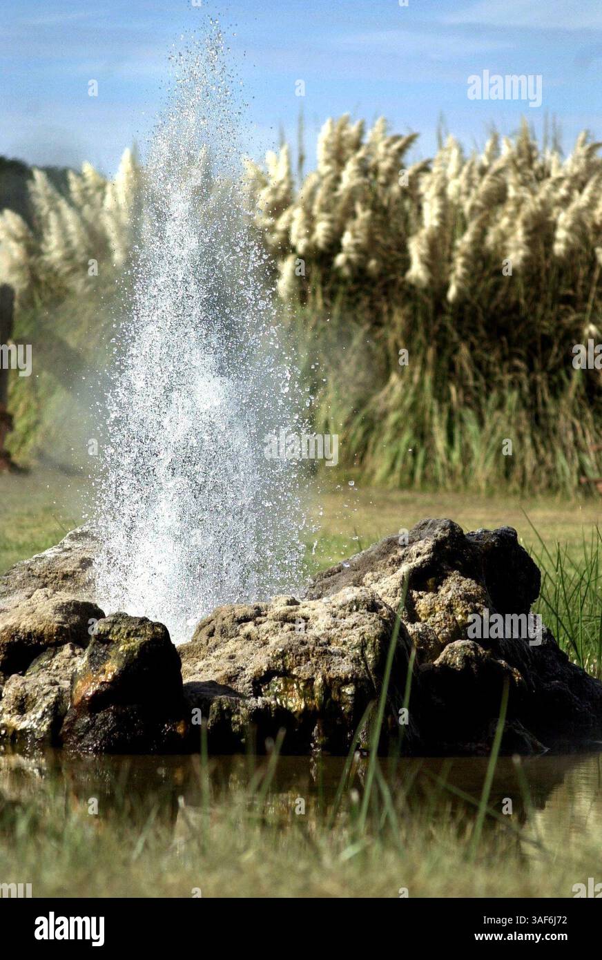 60 second one minute old hi-res stock photography and images - Alamy