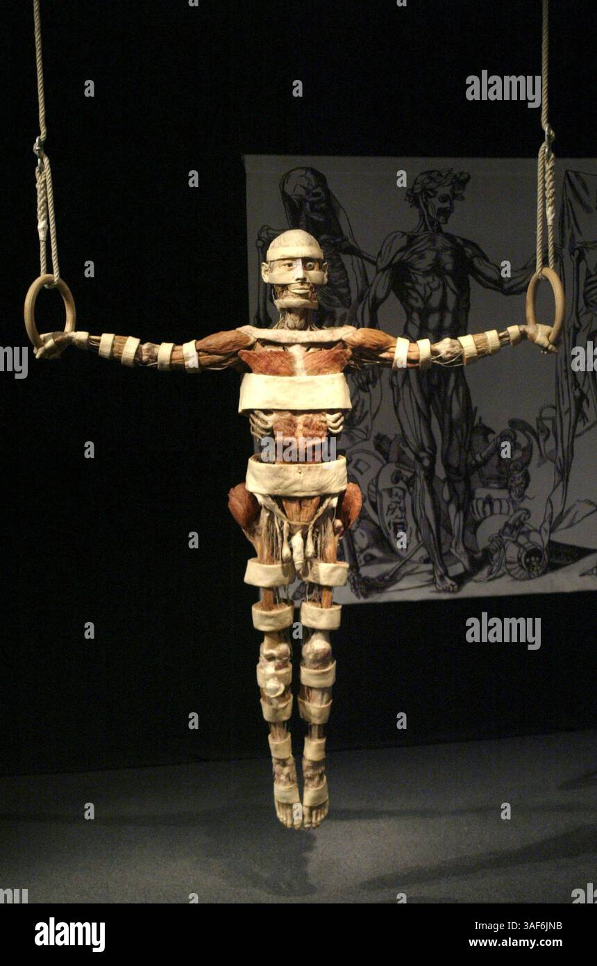 Jan 28, 2005; Los Angeles, CA, USA; Body Worlds 2, The Anatomical ...