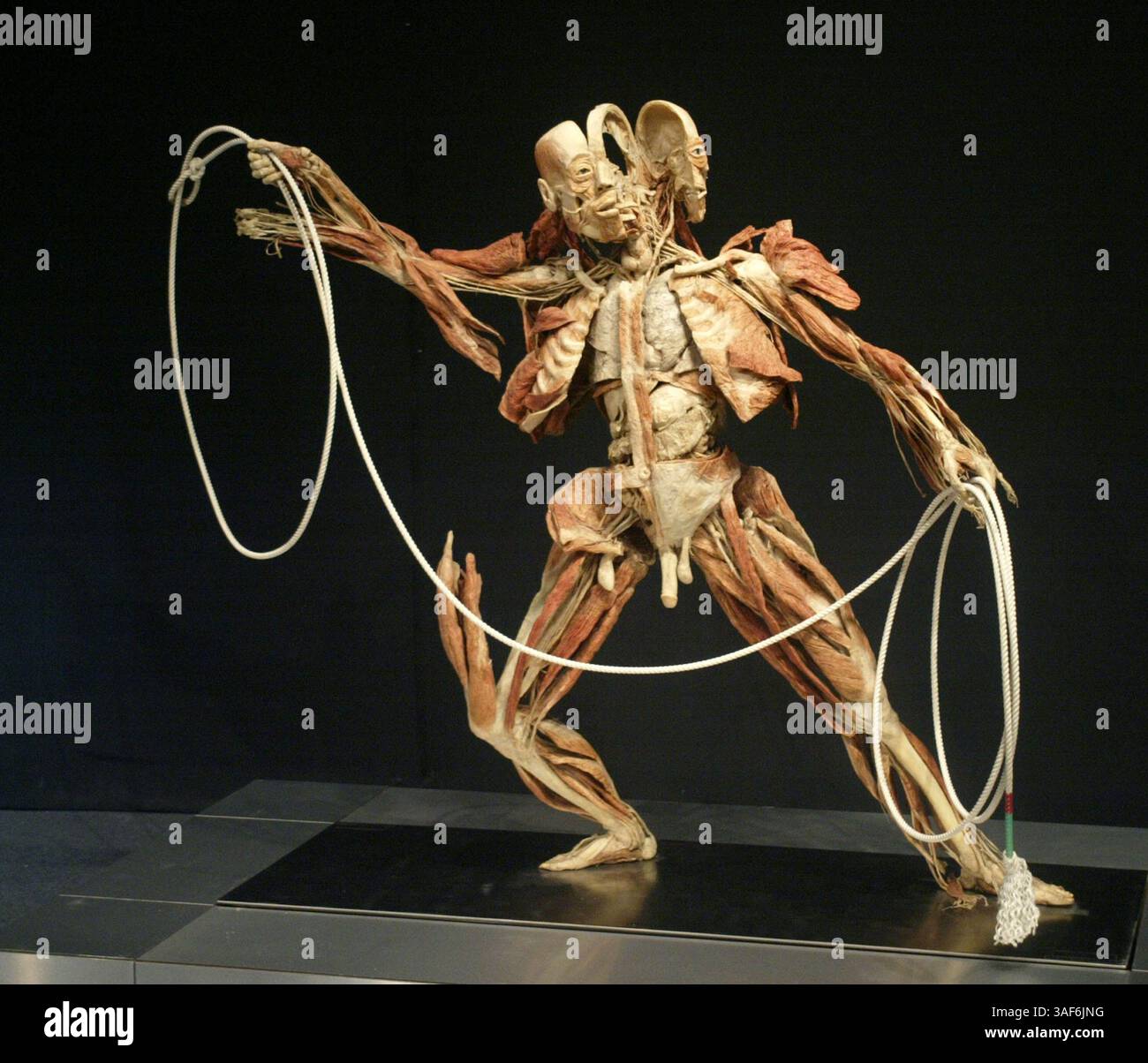Jan 28, 2005; Los Angeles, CA, USA; Body Worlds 2, The Anatomical ...