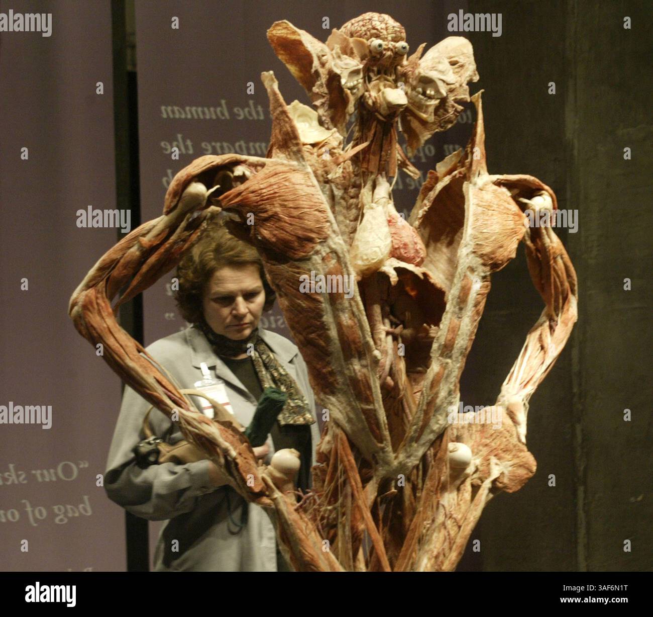 Jan 28, 2005; Los Angeles, CA, USA; Body Worlds 2, The Anatomical ...