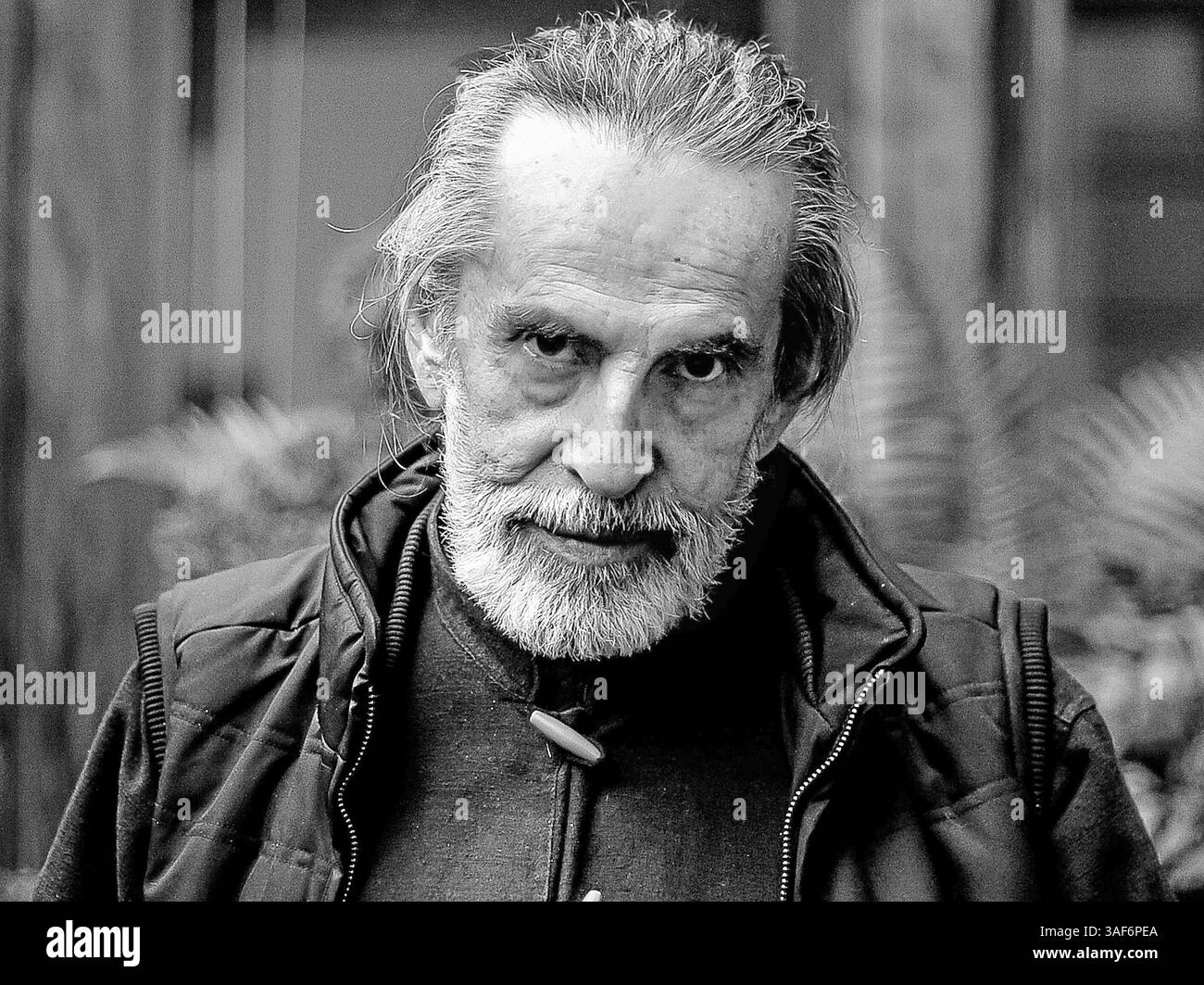 Frank pintor hi-res stock photography and images - Alamy