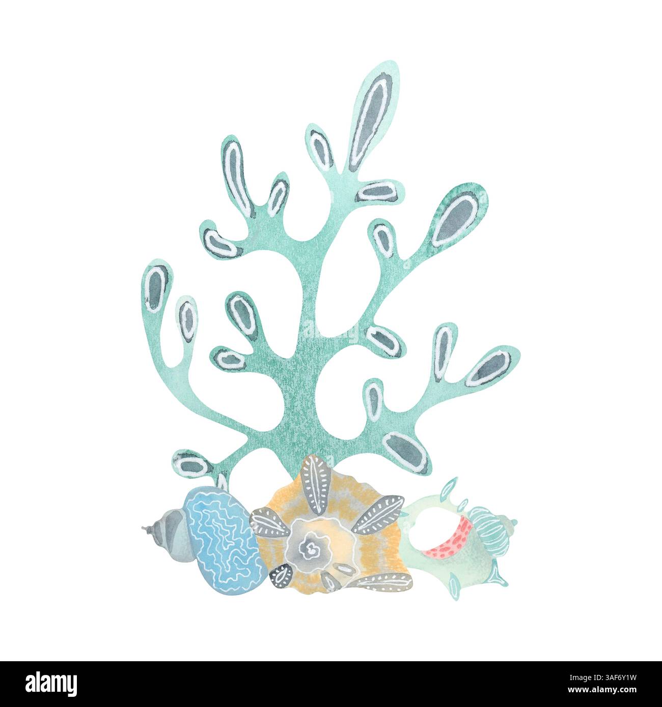 Coral and shells - ocean botanical illustration. Whimsical marine ...