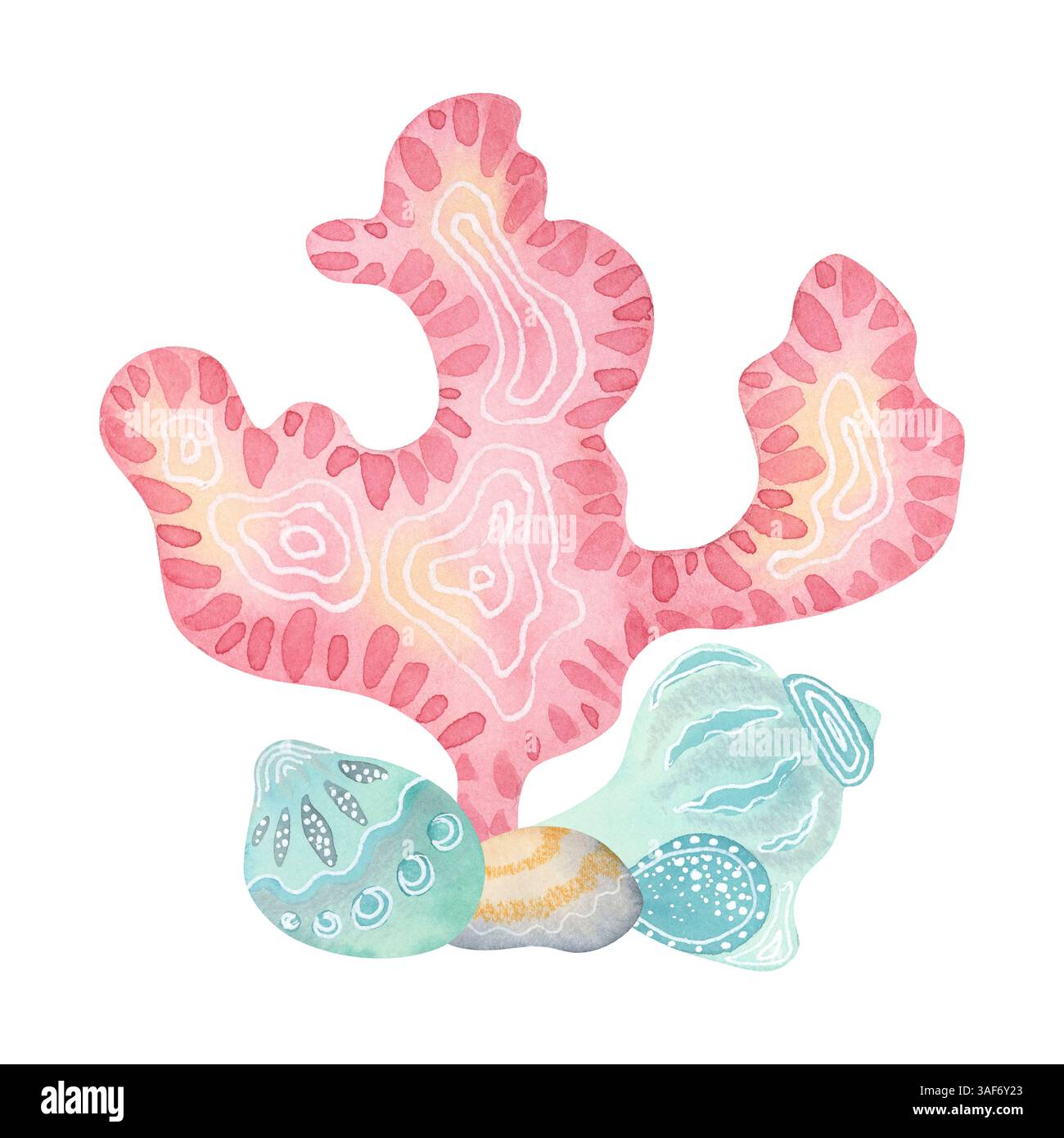 Pink coral and seashells - watercolor ocean clipart. Hand-painted ...