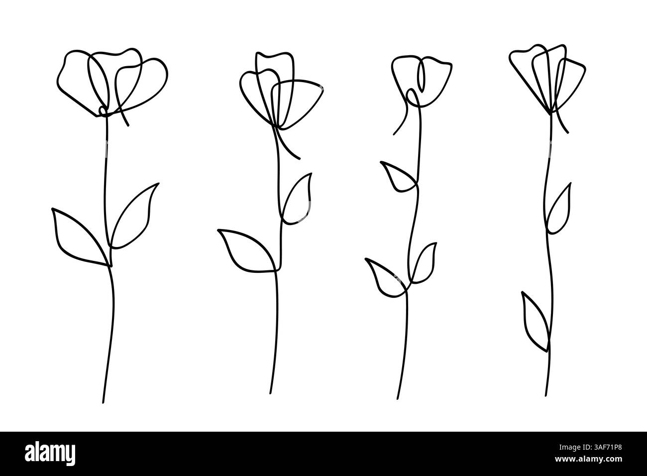 Single line art flowers botanical collection.Hand-drawing vector ...