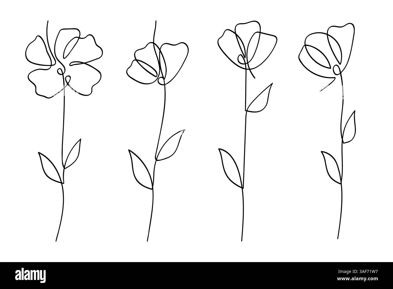 Single line art flowers botanical collection.Hand-drawing vector ...