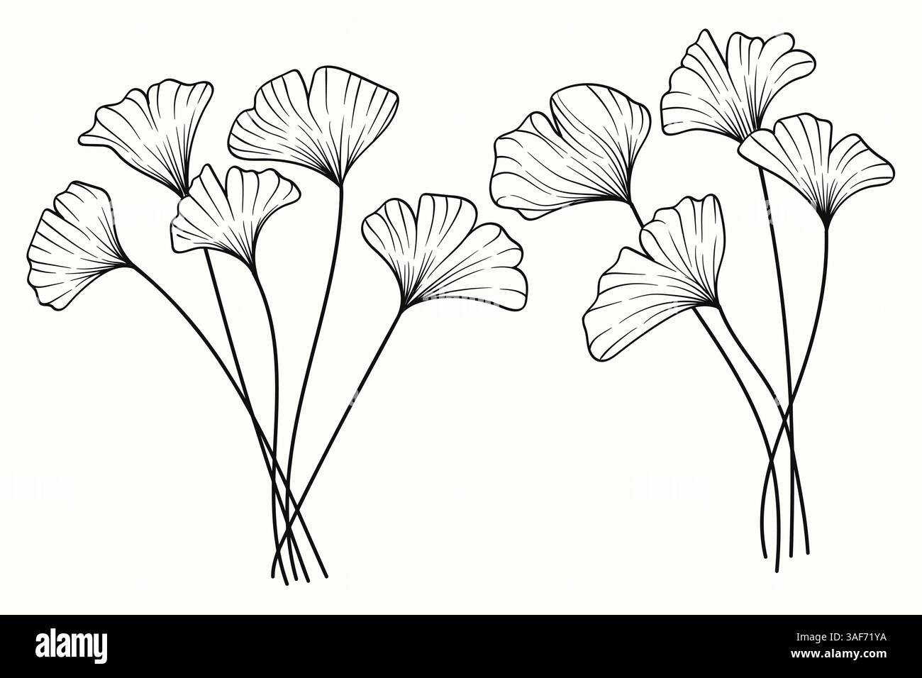 Ginkgo leaf line art hand drawing texture collection.Vector ...