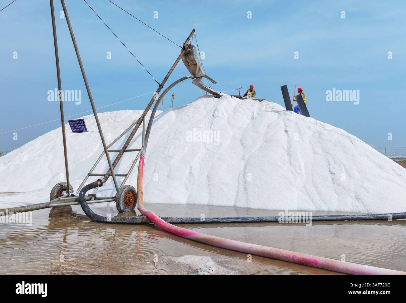 LIANYUNGANG, CHINA - APRIL 7, 2025 - Workers raze salt in the Guanxi ...