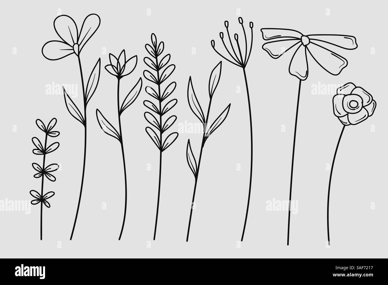 Hand Drawing flowers Botanical collection.Vector illustration Stock ...