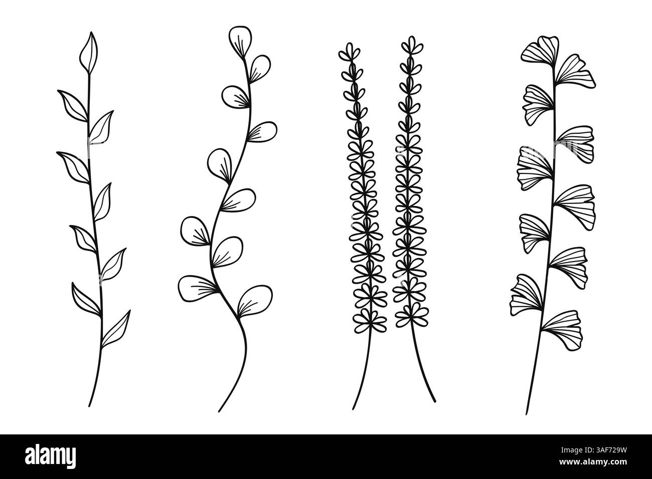A collection of simple botanical illustrations featuring outline ...
