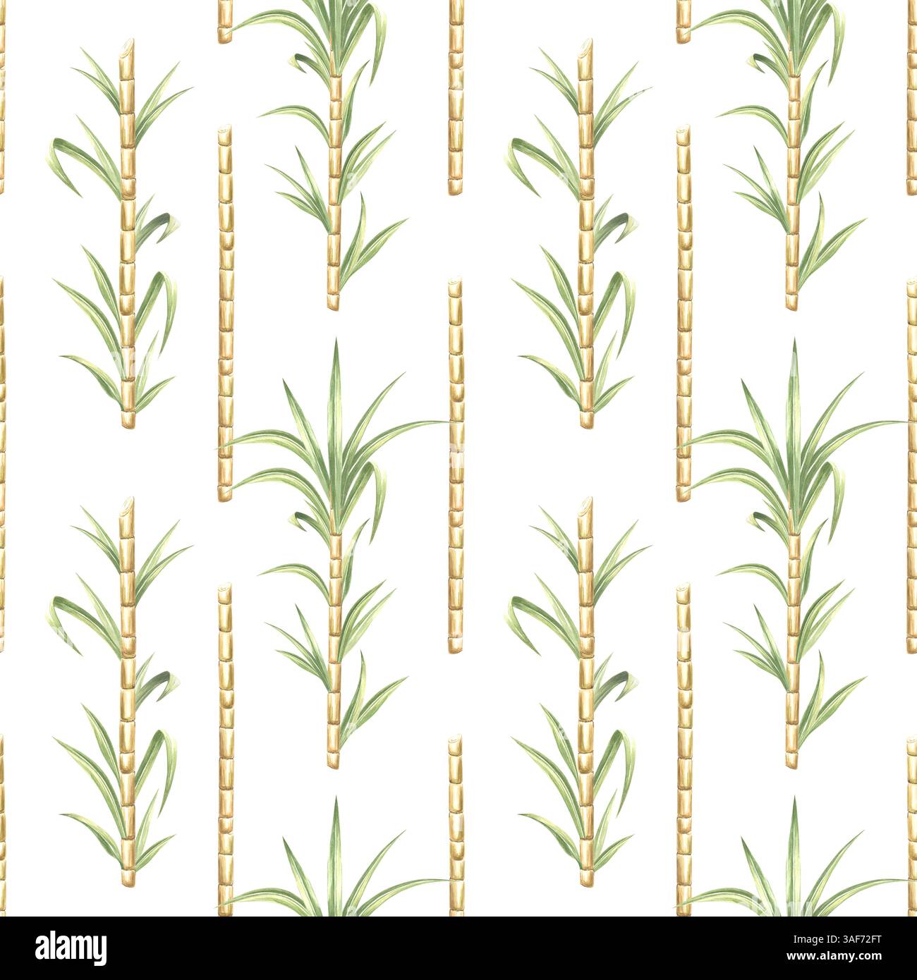 Sugar cane stalks with leaves seamless pattern. Bamboo shoots hand ...