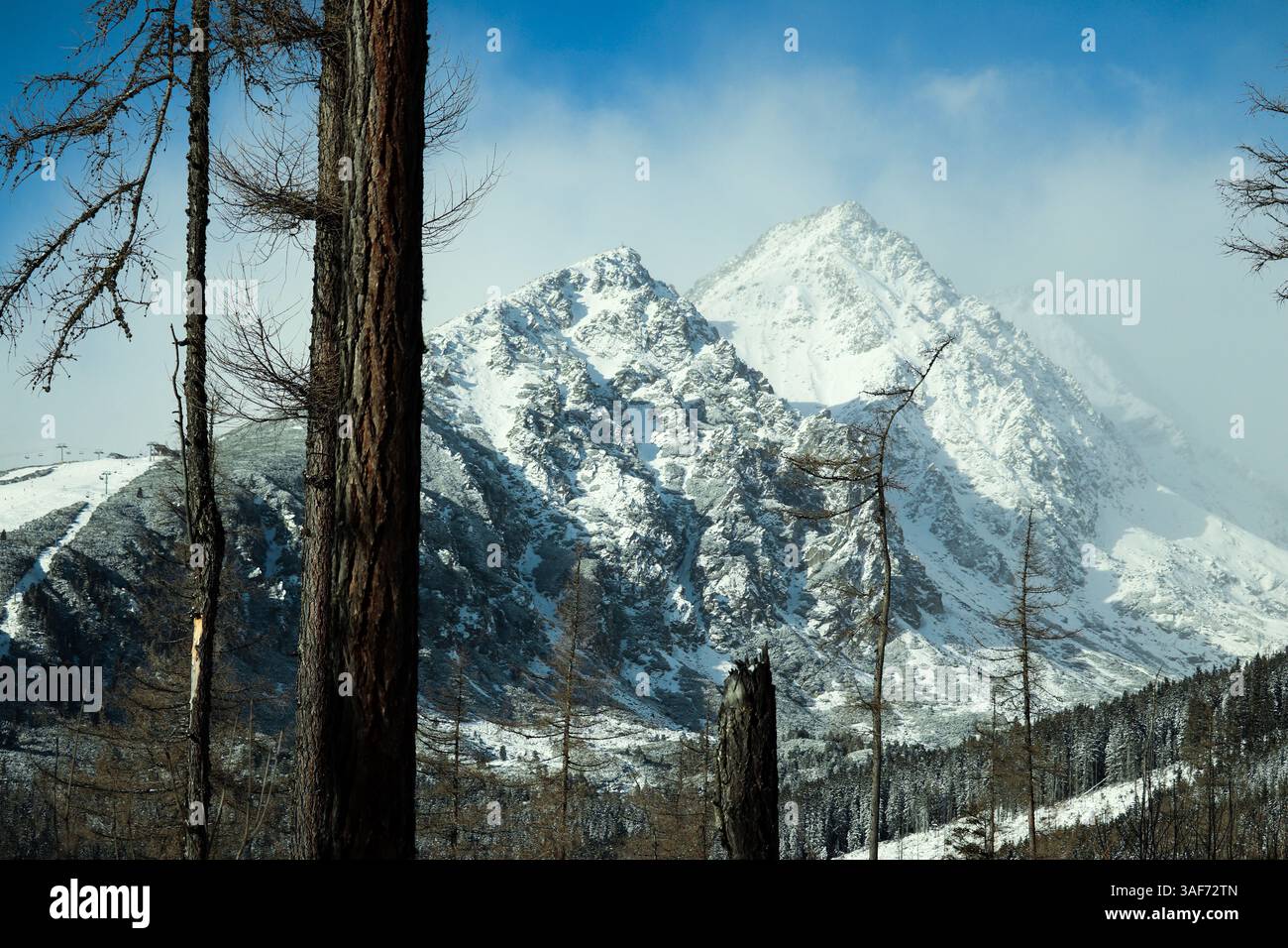 The photograph captures a winter landscape with snow-covered mountain ...