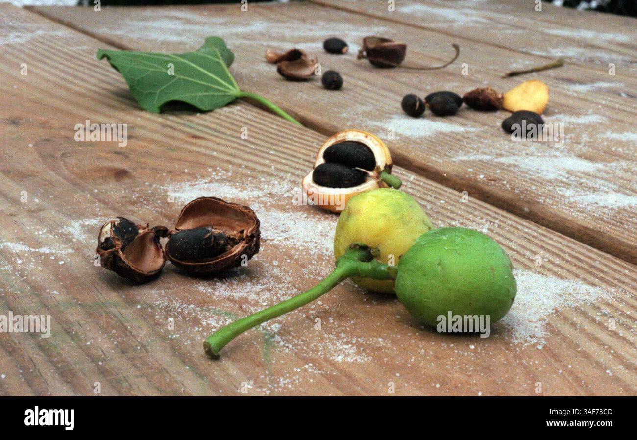 SP.89365.- - DELIVER TO:.metro.- -.7/23/99.- -.st. pete.- -.CAPTION ...