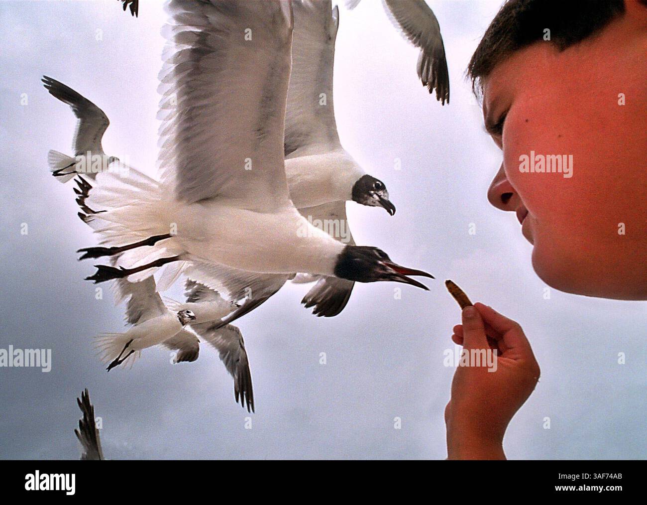 Tyler heath hi-res stock photography and images - Alamy