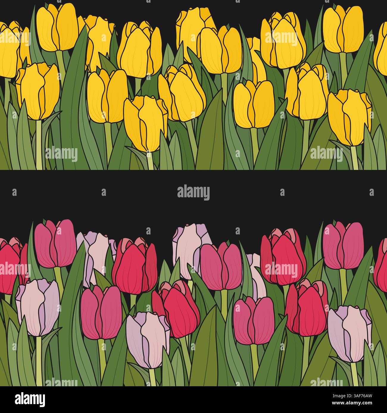 Tulip Flowers Seamless Border Spring Floral Frame Stock Vector Image ...