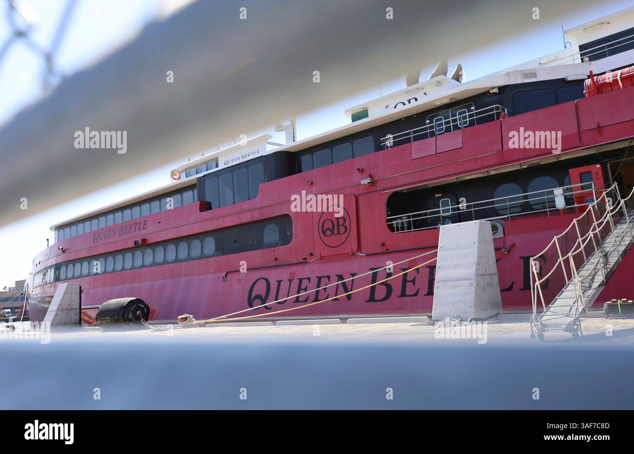 A photo shows the Queen Beetle that continued to operate while hiding ...