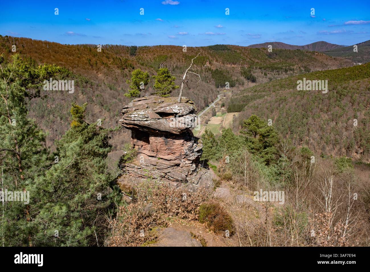 Runder Hut, pilzförmiger Fels im Pfälzerwald Wernersberg Rheinland ...